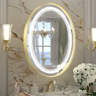 Orren Ellis Vinia Oval LED Lighted Bathroom Vanity Mirror Dimmable and ...