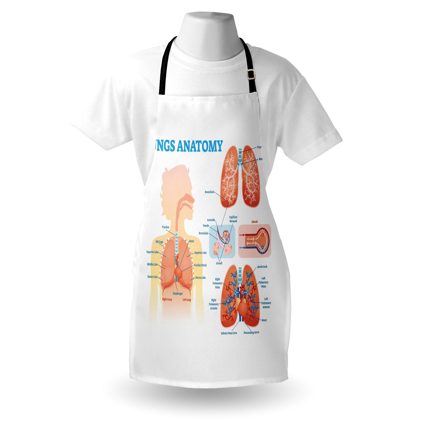 East Urban Home Anatomy Apron Unisex Lungs Structure Biology Adult Size ...
