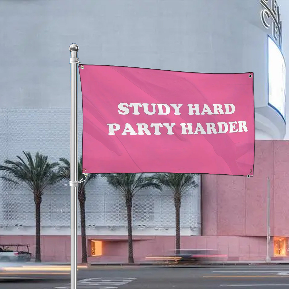 Trinx Study Hard Party Harder Flag Pink Funny Flags For Cool Meme Flags Banner 100D 3x5fts ...