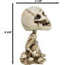 Trinx Gothic Macabre Grinning Grave Squatter Skeleton Skull Bobblehead ...