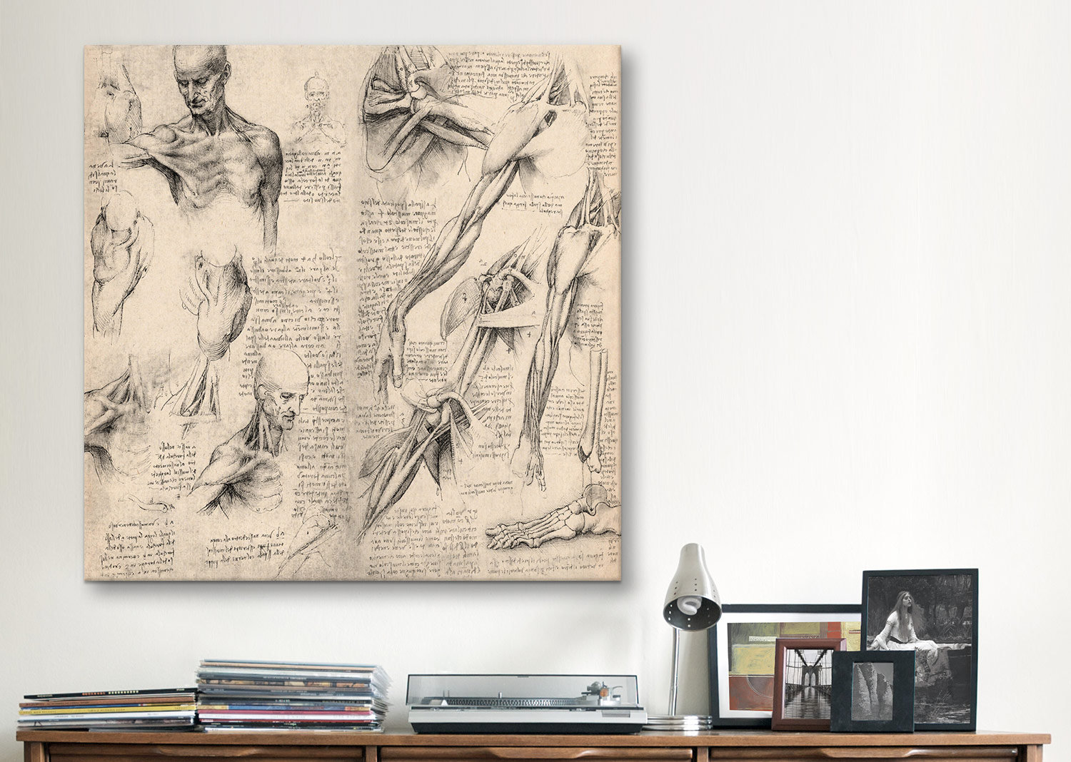 Vault W Artwork Sketchbook Studies of Human Body Collage by Leonardo da ...