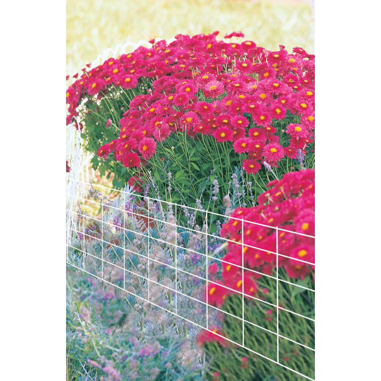 Dakota Fields Gracelyn 35.0012cm H x 275.59cm W Plastic Wire/Mesh Fence ...