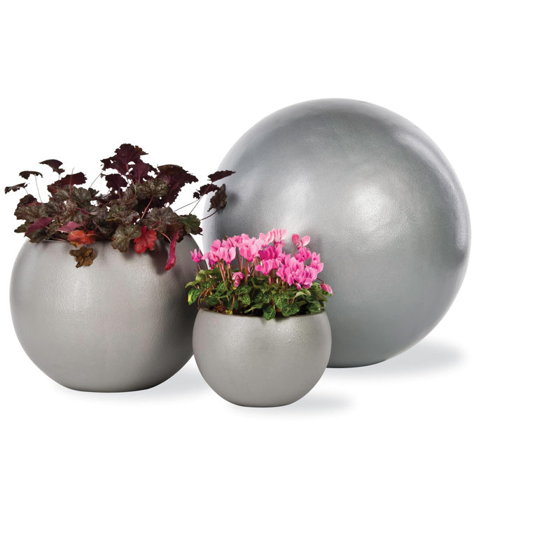 Garten Living Baker Decorative Sphere | Wayfair.co.uk