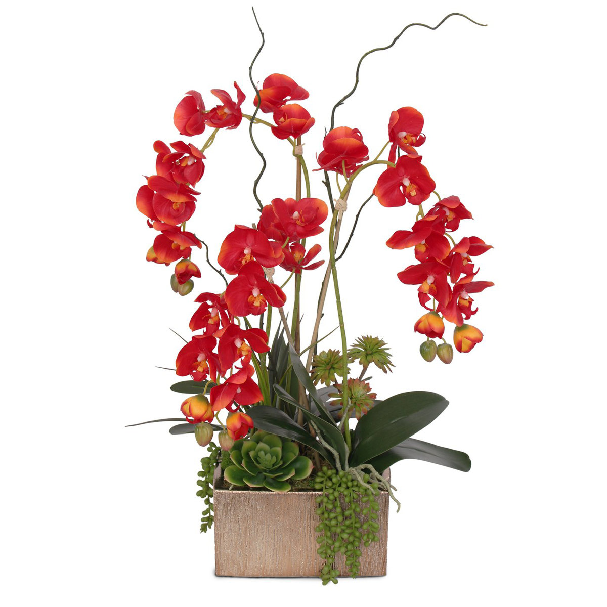 Jenny Silks Real Touch Red Phalaenopsis Orchids, Succulents And Curly ...
