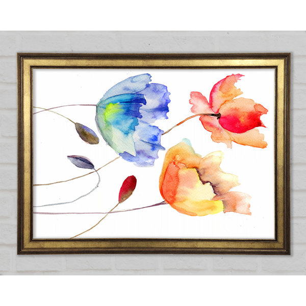 Rosalind Wheeler Poppy Watercolour - Single Picture Frame Art Prints ...