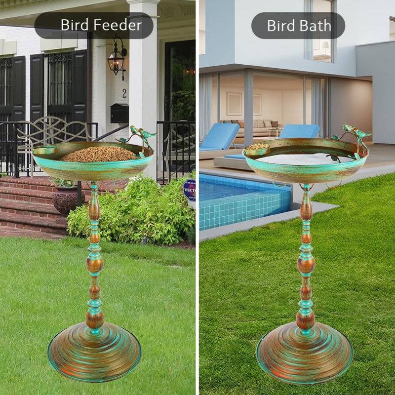 Canora Grey Corrida 13'' Dia Bird Bath Bowl with Hummingbird Pattern ...