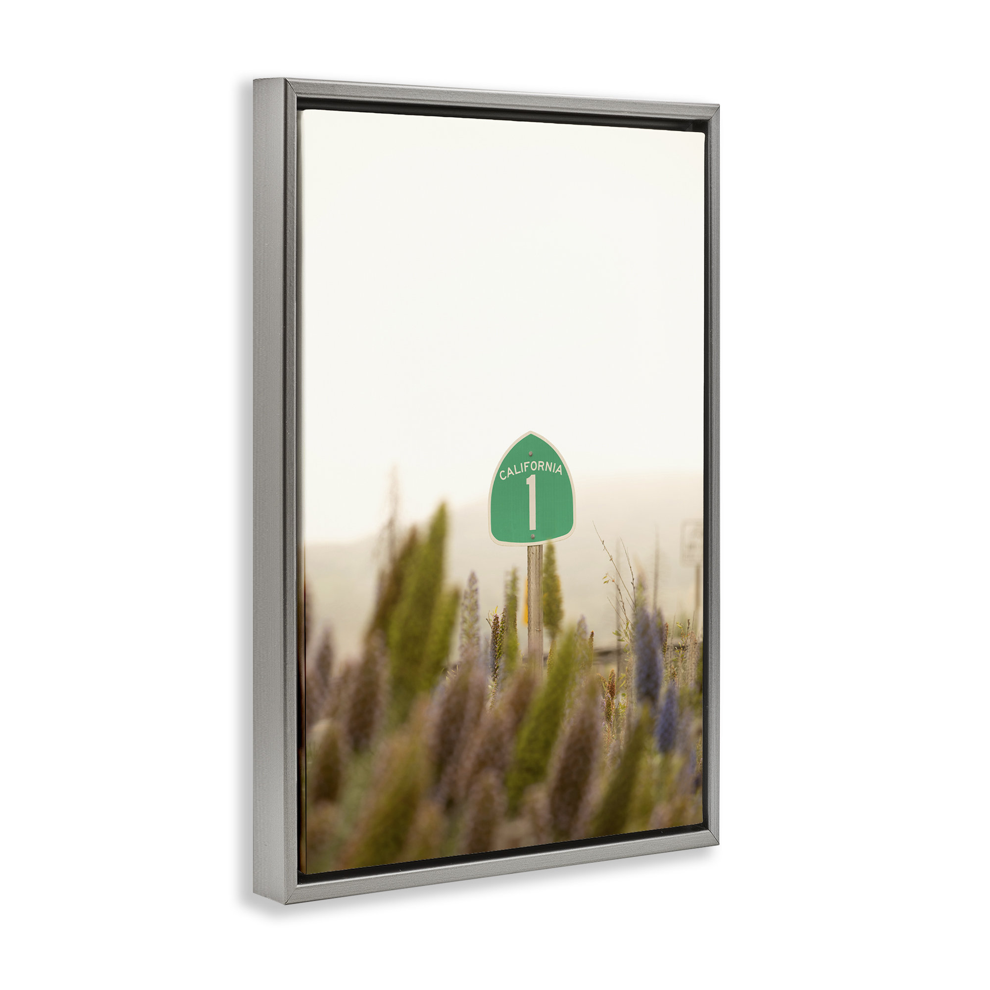 Dovecove California Road Sign View Floater Canvas by Crystal Lynn ...
