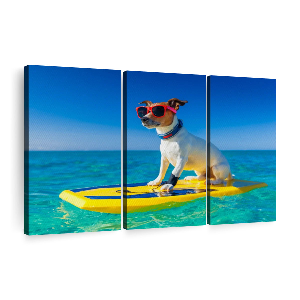 Rosecliff Heights " Surfer Dog " on Canvas | Wayfair