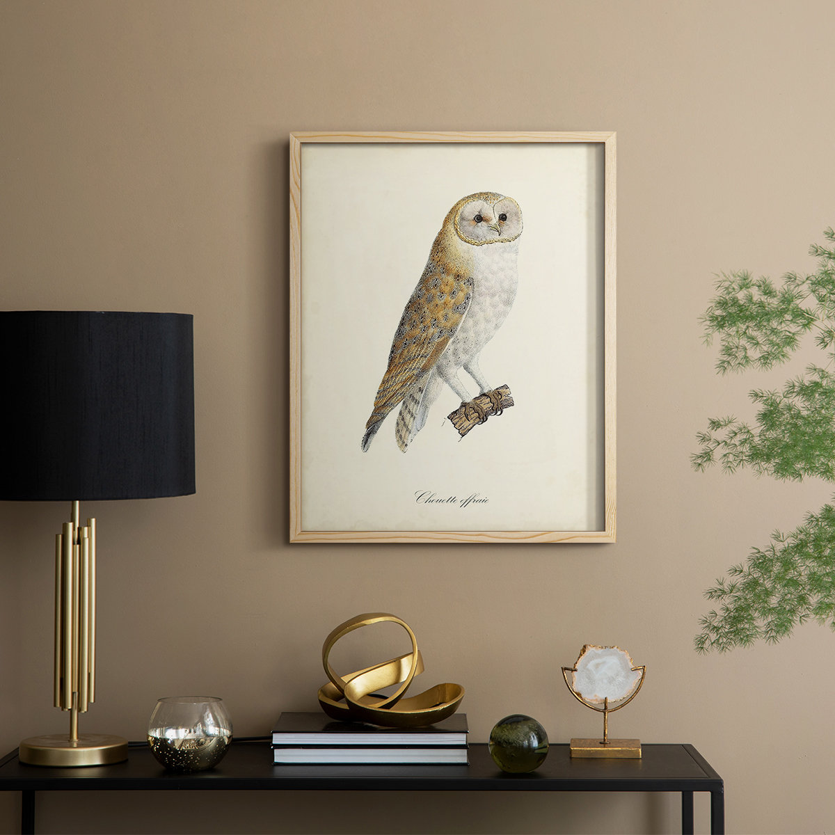Millwood Pines French Owls VI Framed Print - Solid Wood | Wayfair