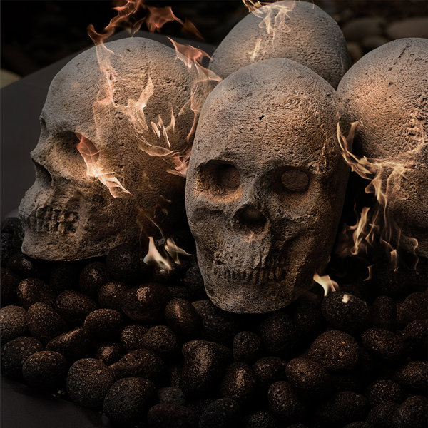 Fire Pit Essentials Ceramic Skulls Fire Pit Lava Rock & Reviews | Wayfair