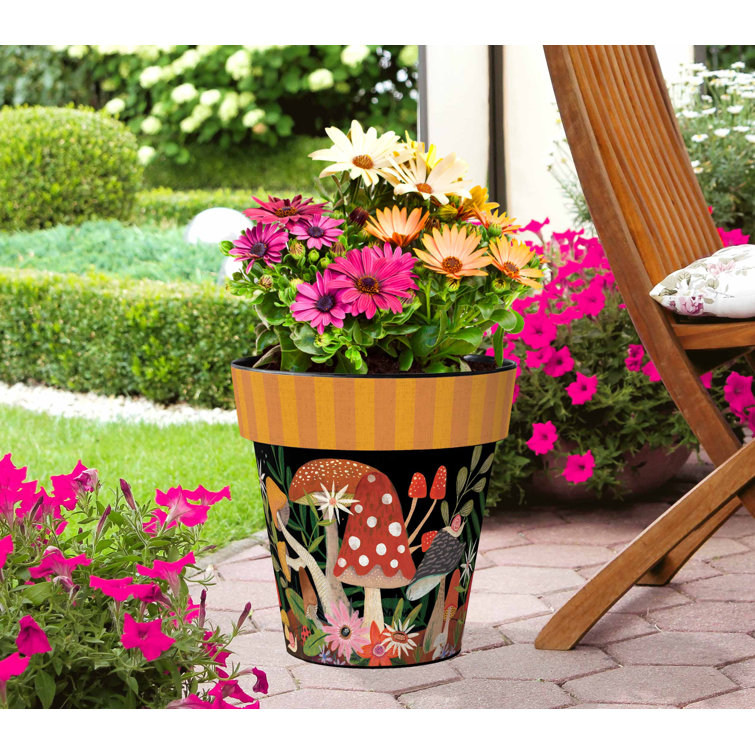 Studio M Pot Planter | Wayfair