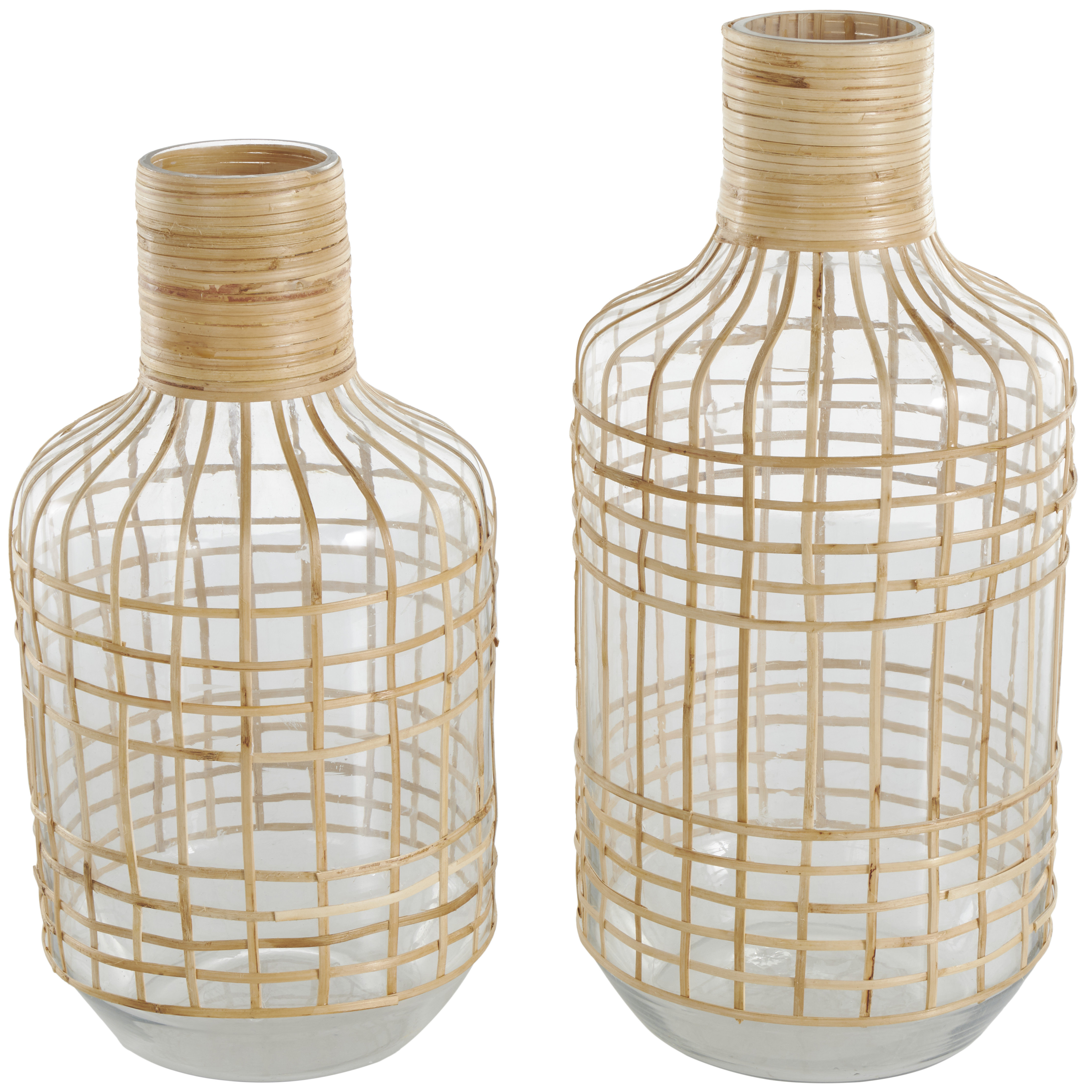 Birch Lane™ Allieanna Glass Handmade Rattan Wrapped Decorative Clear ...