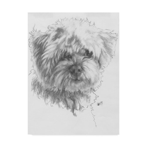 Trademark Art 'Maltipoo' Oil Painting Print on Wrapped Canvas | Wayfair