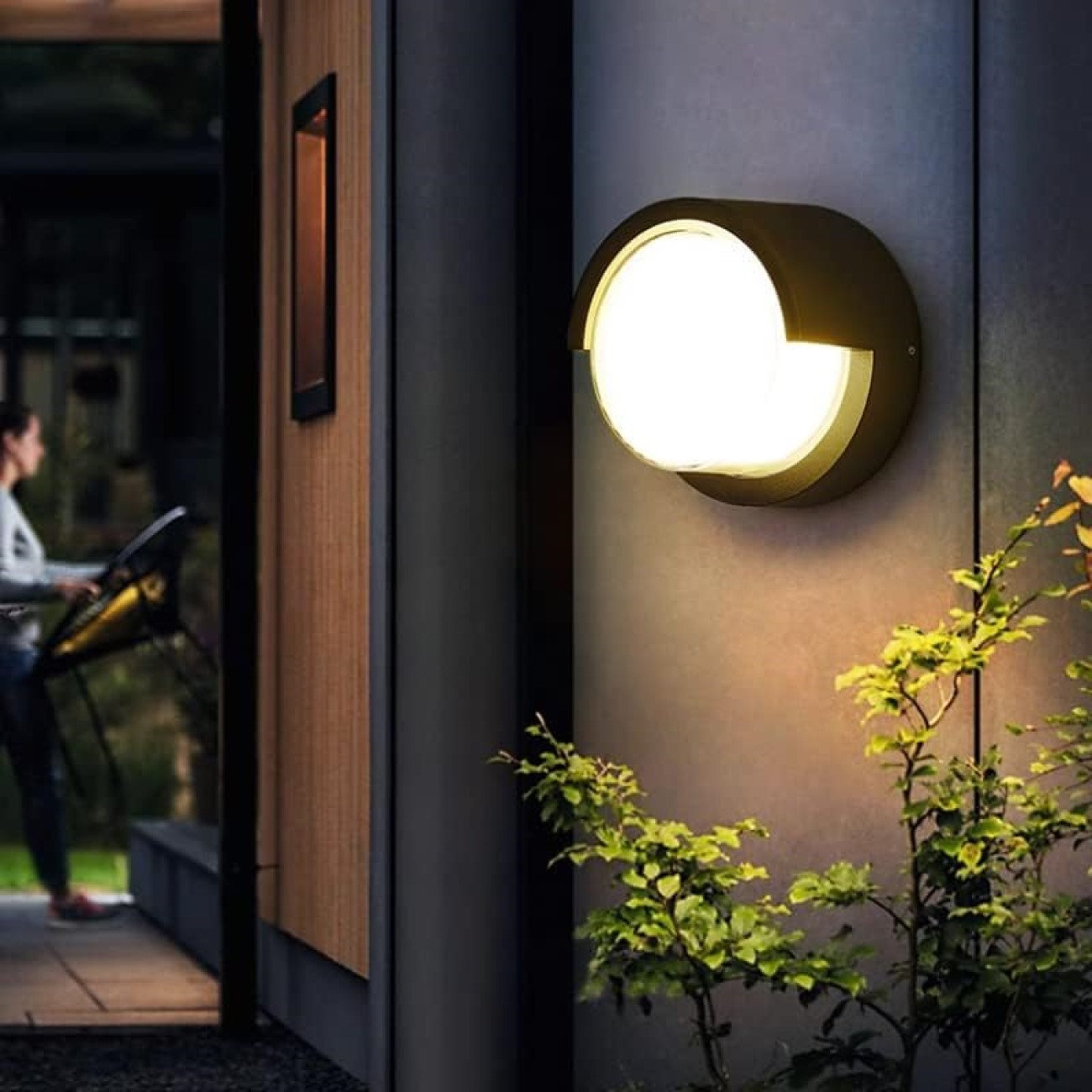 Agilk LED - Wayfair Canada