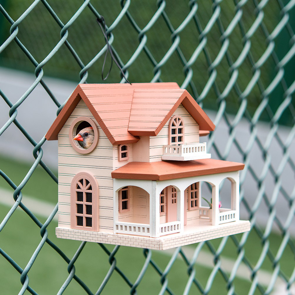 Gracie Oaks Kerela 7 in x 7.26 in x 5.9 in Birdhouse & Reviews | Wayfair