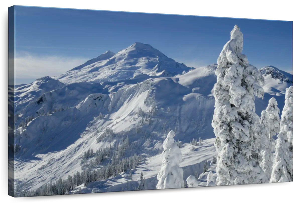 Elephant Stock Snowy Mount Baker | Wayfair