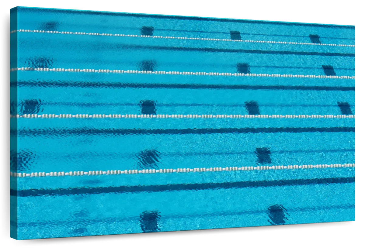 Elephant Stock Swimming Arena | Wayfair