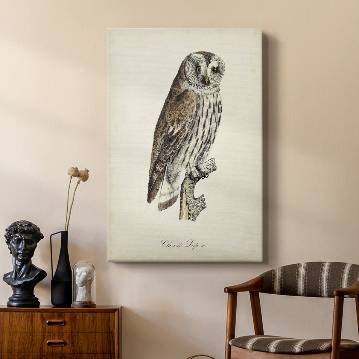 Ophelia & Co. French Owls III -Custom Wrapped Gallery Cavas | Wayfair