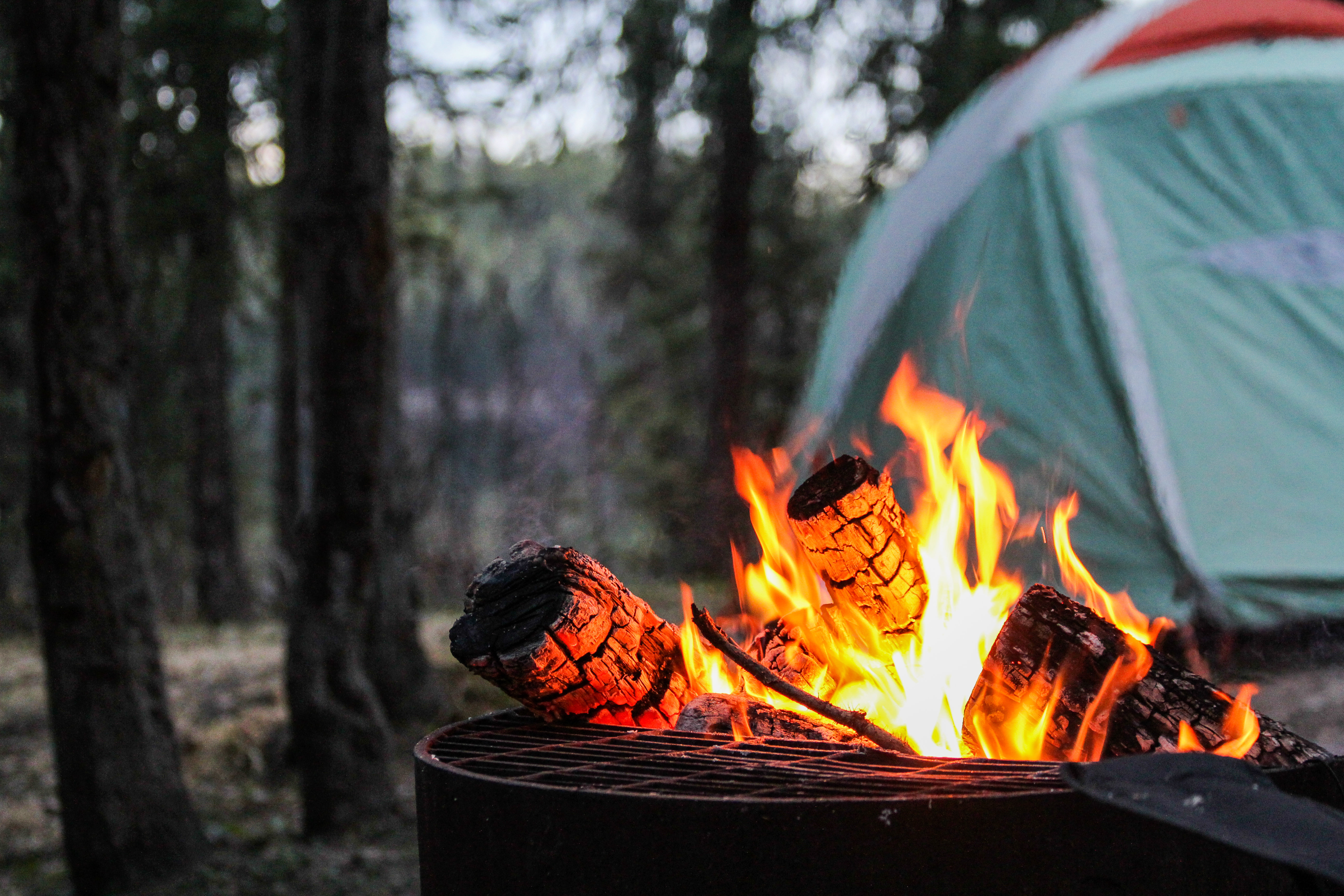 Ebern Designs The Perfect Night by 907Shots - Print - Wayfair Canada