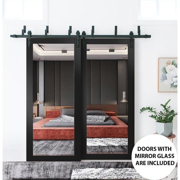SARTODOORS Lucia Mirrored Glass Standard Black Door Slab | Wayfair