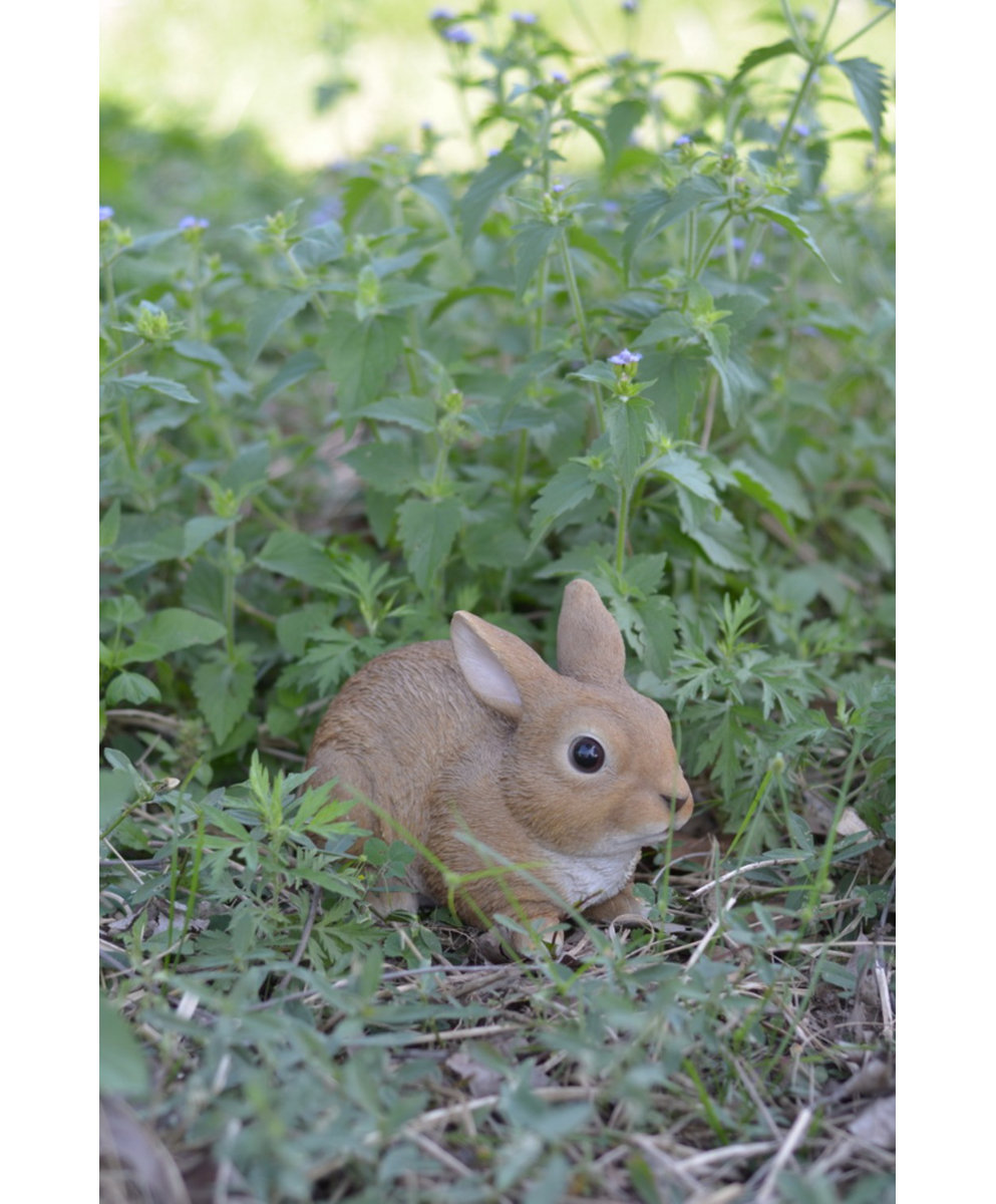 Hi-Line Gift Ltd. Sitting Rabbit Statue & Reviews | Wayfair