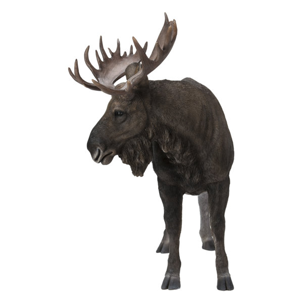Hi-Line Gift Ltd. Standing Moose Statue & Reviews | Wayfair