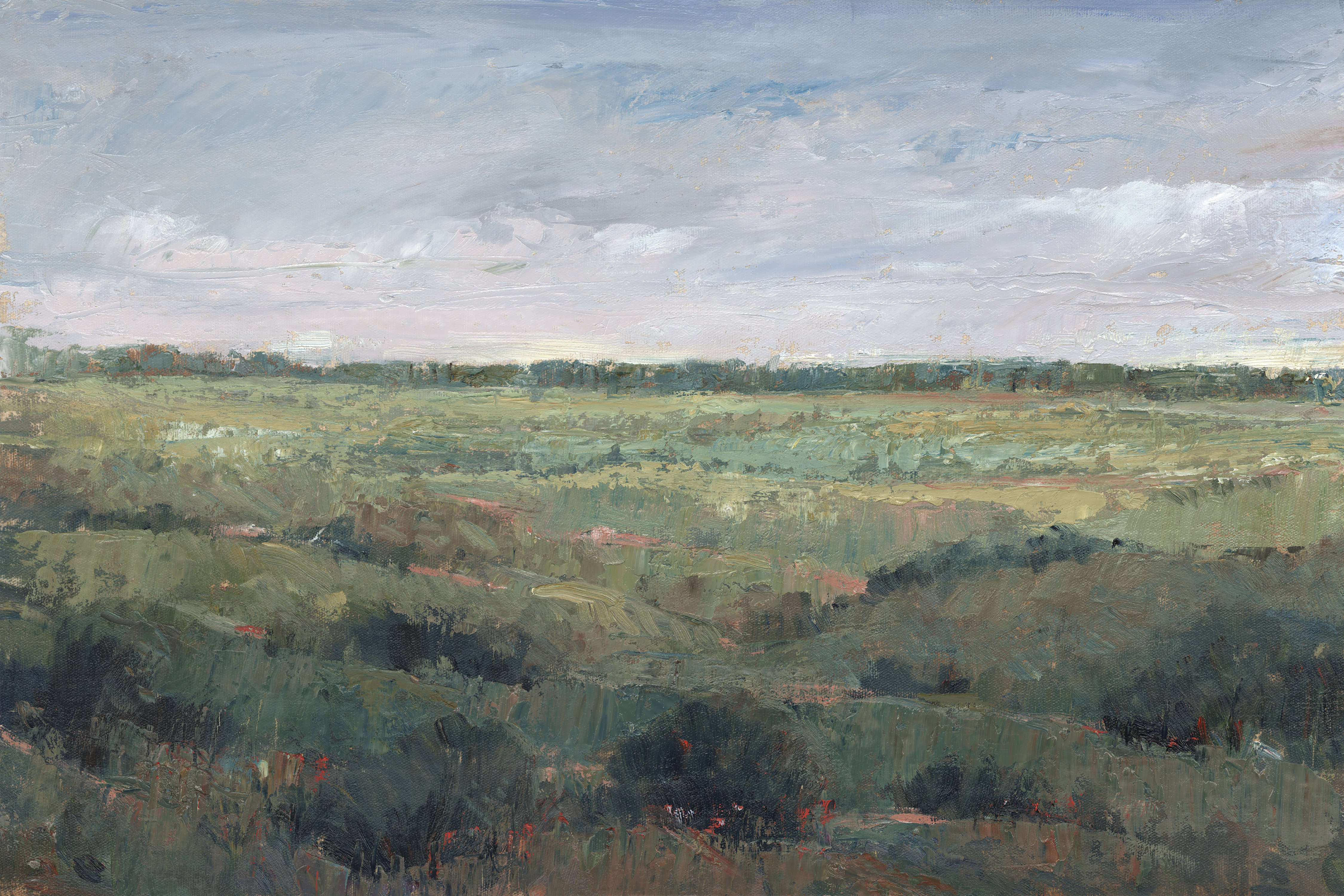 Red Barrel Studio® Azriela Field Study II On Canvas by Tim OToole Print ...