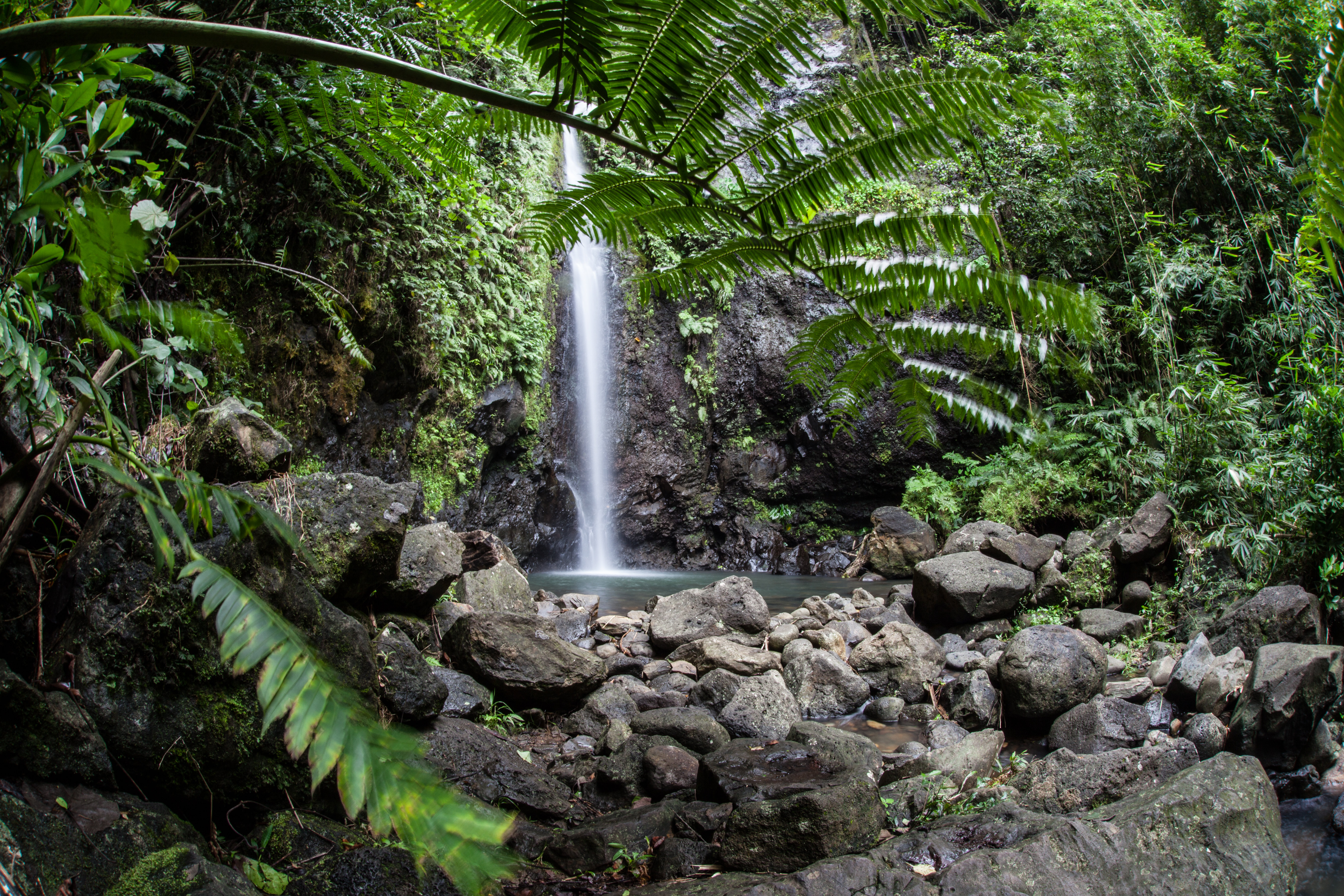 Millwood Pines Andrell Tropical Waterfall On Canvas by Velvetfish ...