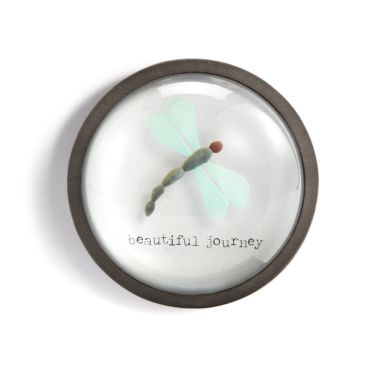 Gracie Oaks Natashya Dragonflies Paper Weight | Wayfair