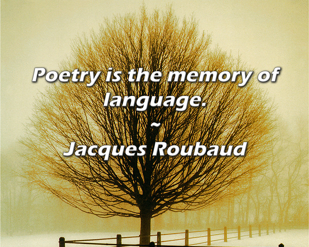 Latitude Run® Jacques Roubaud Quote: Poetry is the memory of language ...