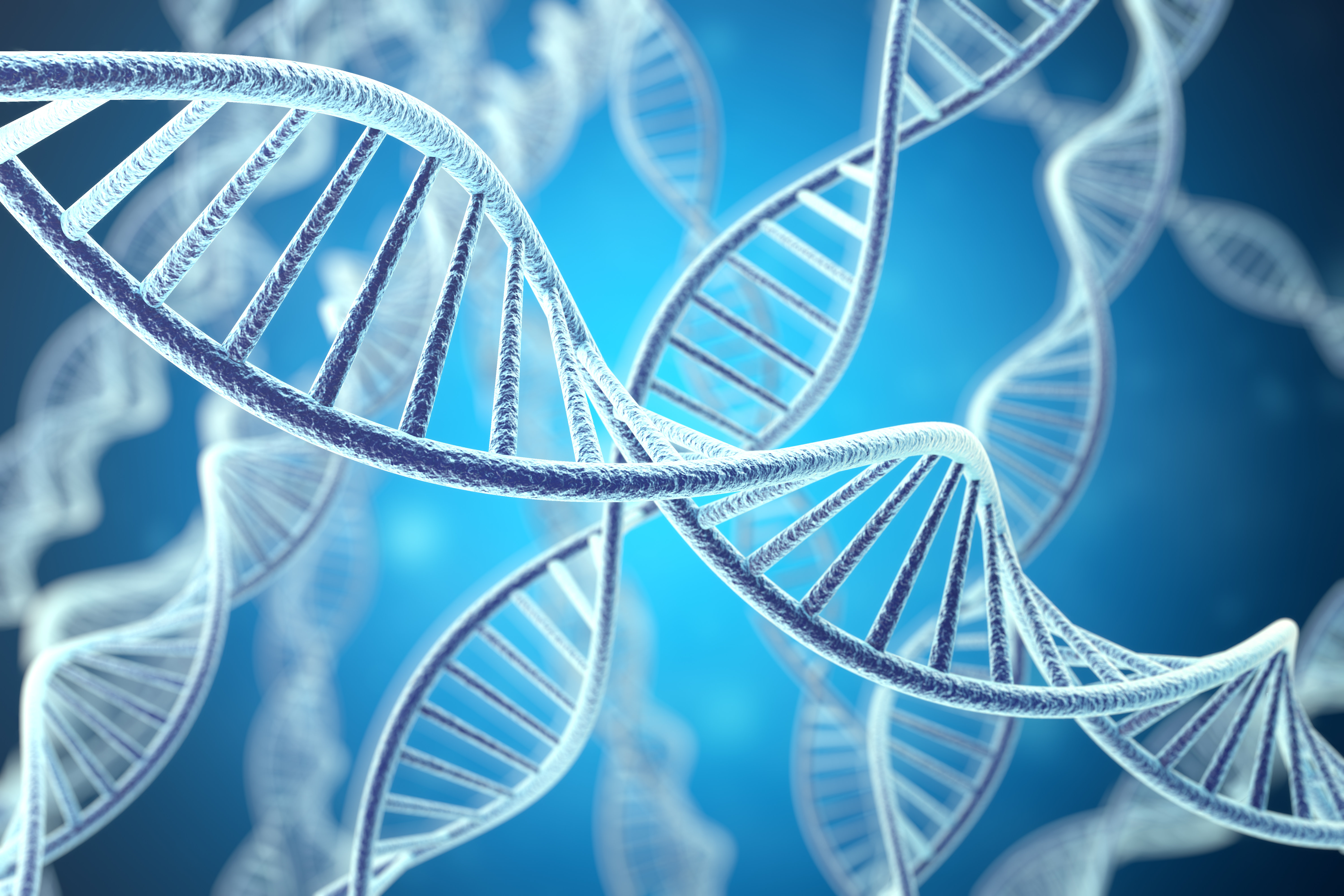 Ebern Designs DNA Structure | Wayfair
