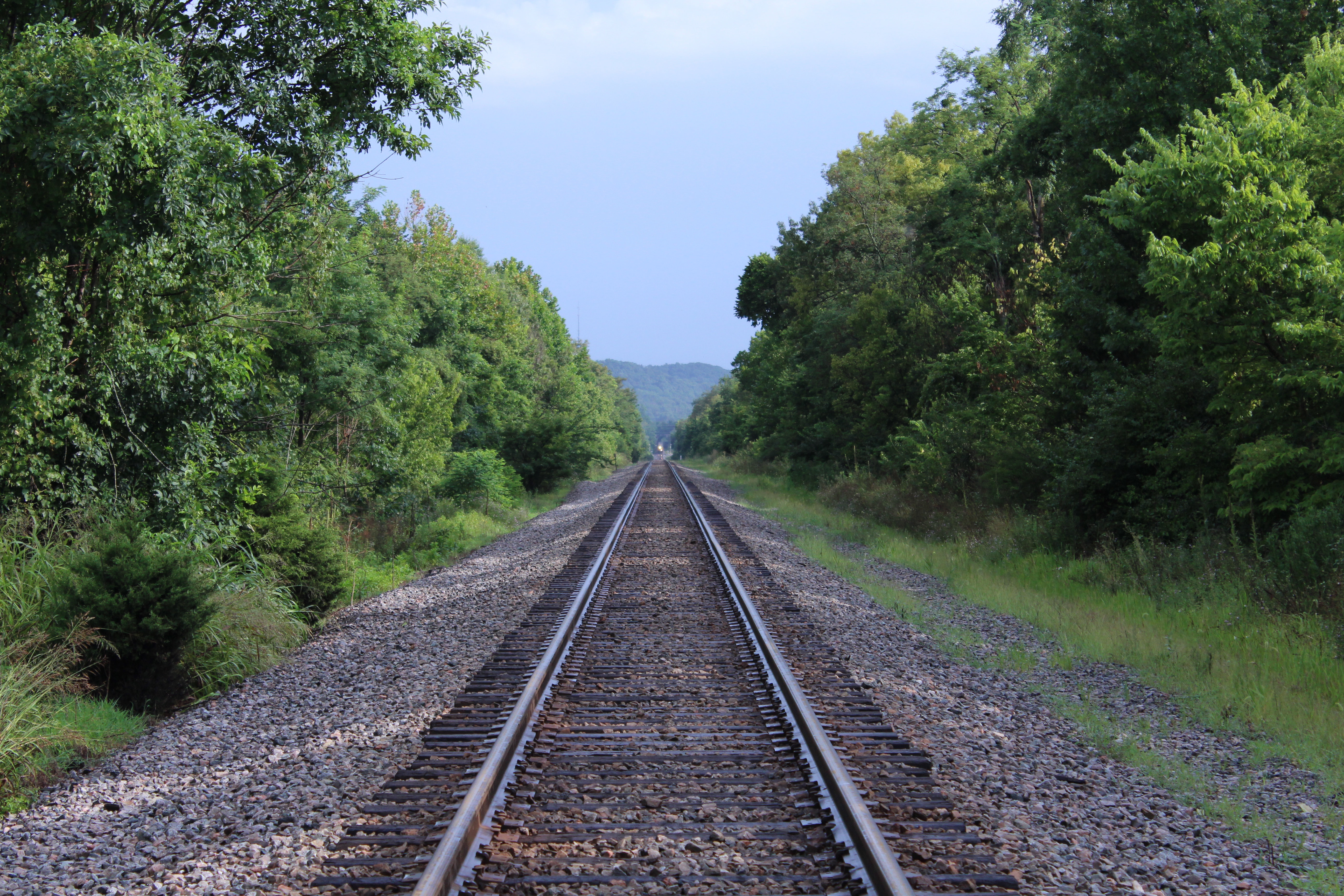 Ebern Designs Train Railway Tracks Fading off into the Far Distance by ...