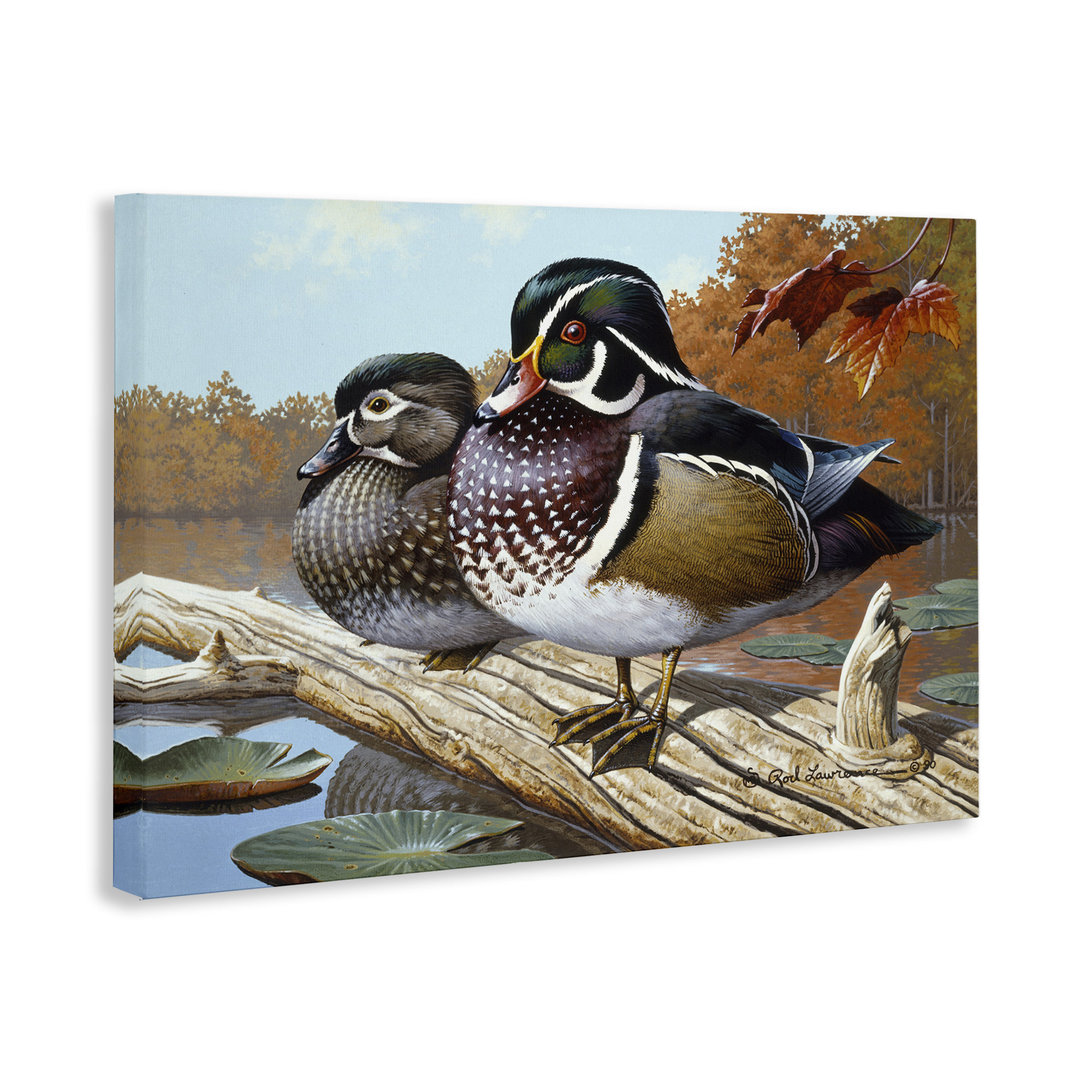 Winston Porter Duck Pair on Driftwood Canvas Wall Art by Rod Lawrence ...