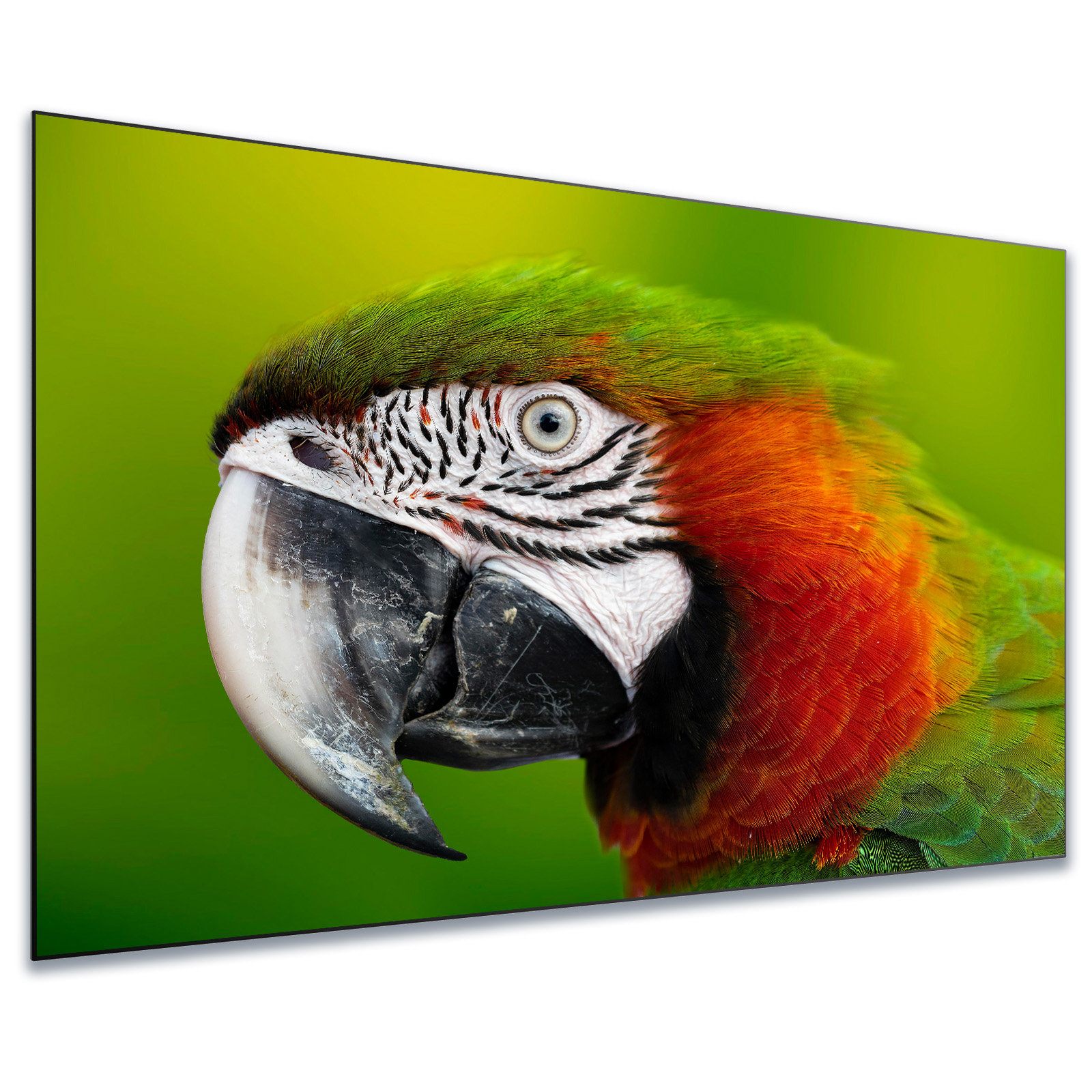 WEMAX Fixed Frame Wall/Ceiling Mounted ALR Projector Screen 16:9 HD for ...