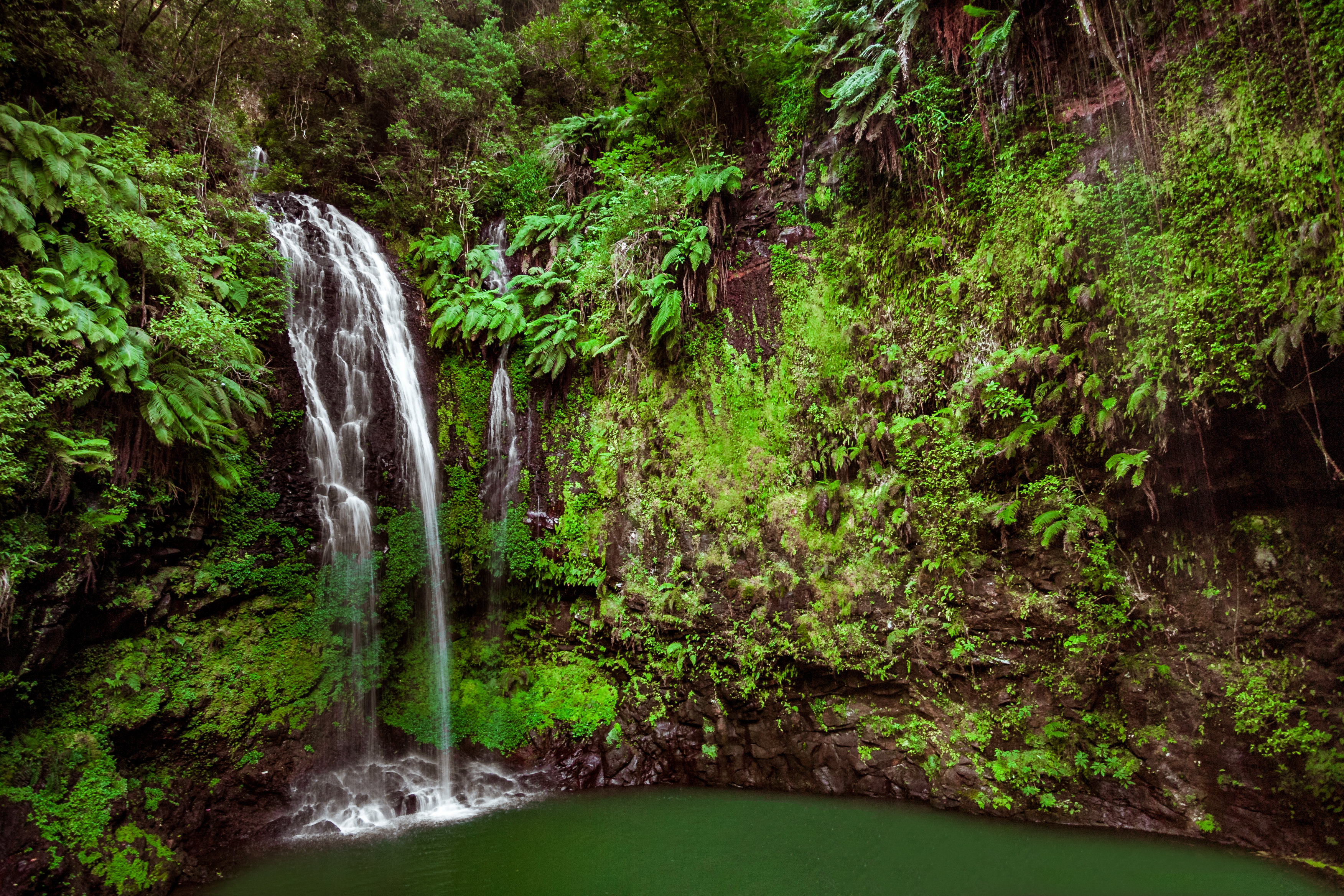 Millwood Pines The Sacred Falls - Wrapped Canvas Photograph | Wayfair