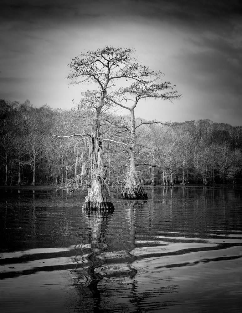 Latitude Run® Sabinal River Texas Watch Your Step -Fine Art Giclee on ...