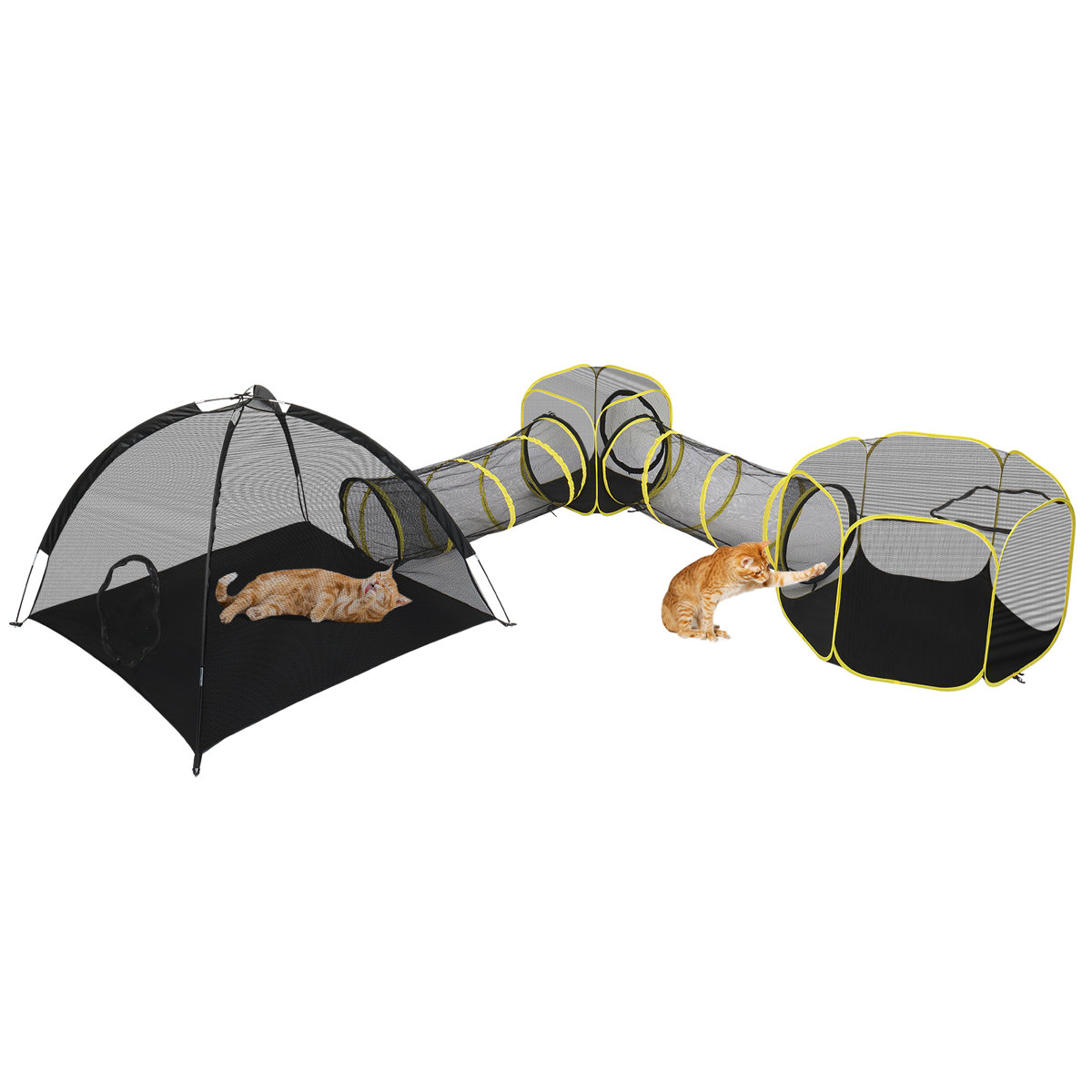 Tucker Murphy Pet™ 5 In 1 Portable Cat Play Tent With Tunnels And Cat ...