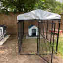 Tucker Murphy Pet™ New Modular Dog Pen & Reviews | Wayfair