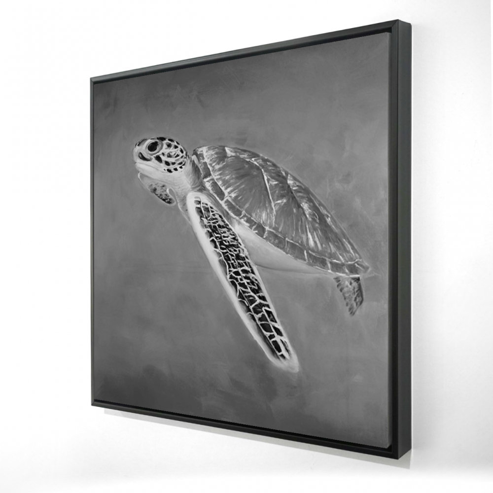 Dovecove Grayscale sea turtle - 24"x24" Framed canvas - Wayfair Canada