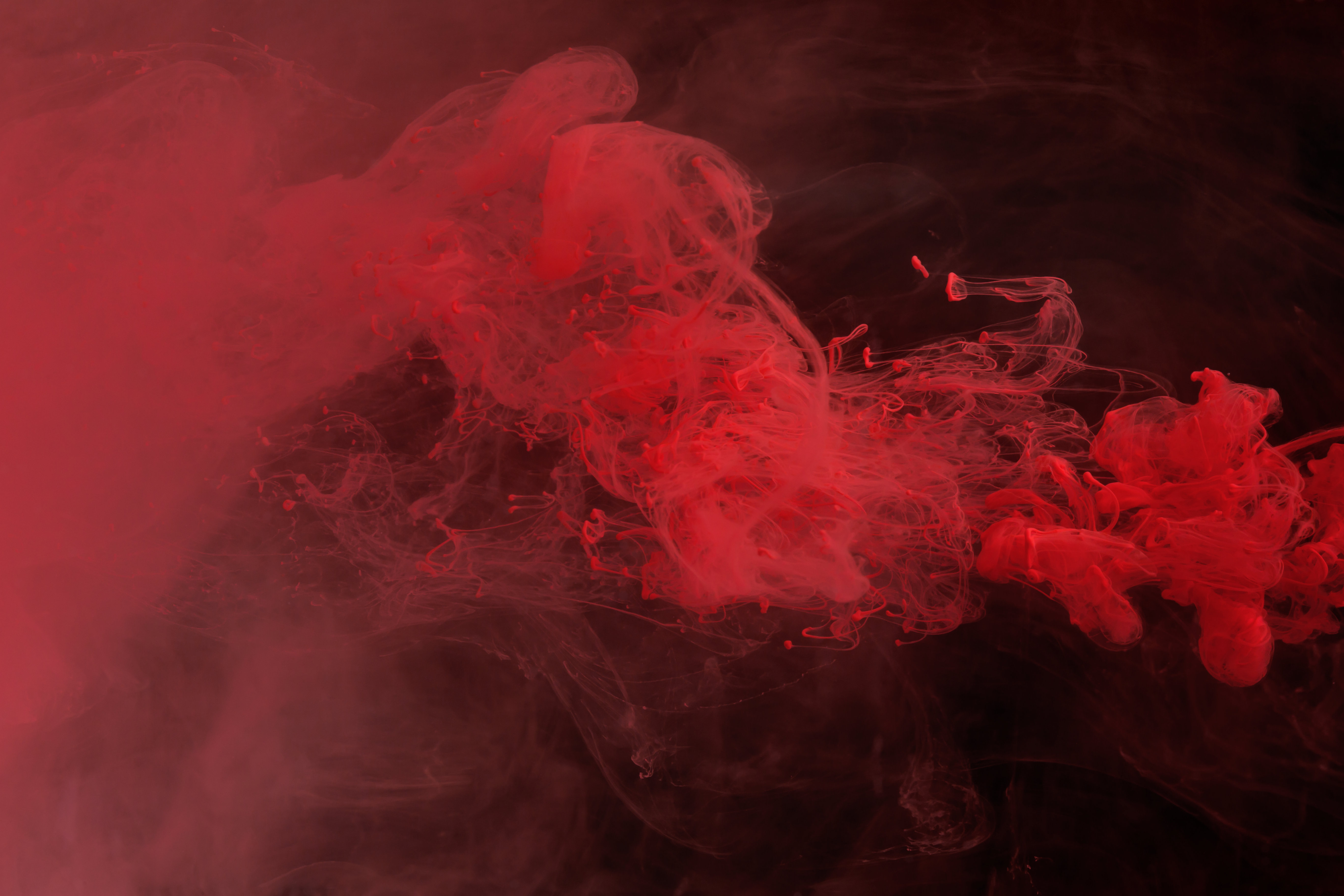 Wrought Studio™ Cargile Abstract Backgrounds On Canvas Photograph | Wayfair