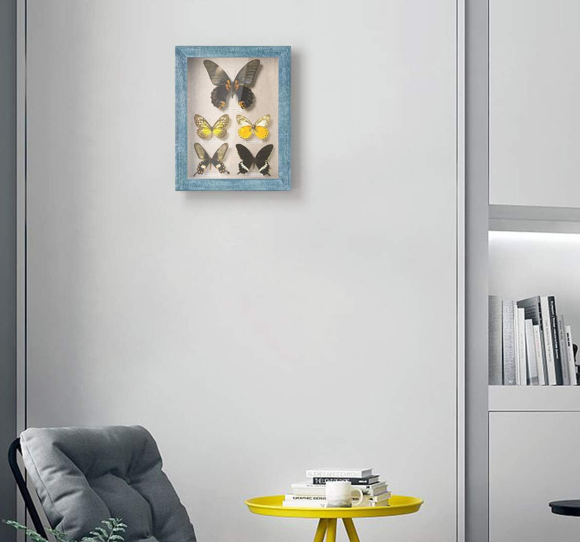 Gracie Oaks Wood Shadow Box Display Case with Glass Window Memory ...