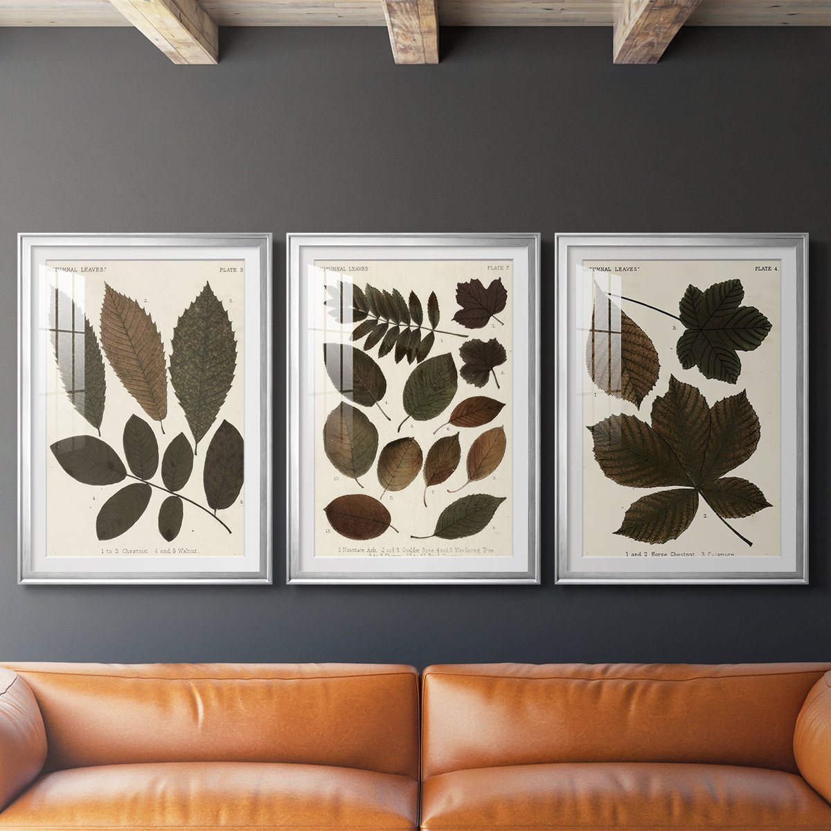 Wildon Home® Autumnal Leaves I -Custom Framed Premium Print W Matt - 3 ...