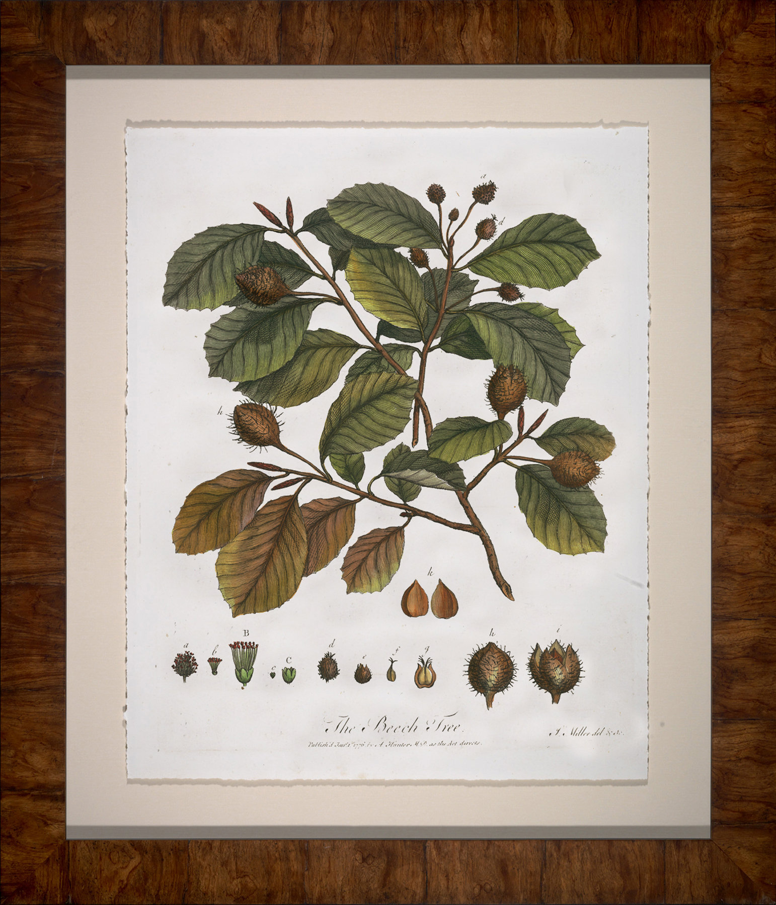 Wendover Art Group The Beach Tree by Wendover Art Group | Perigold