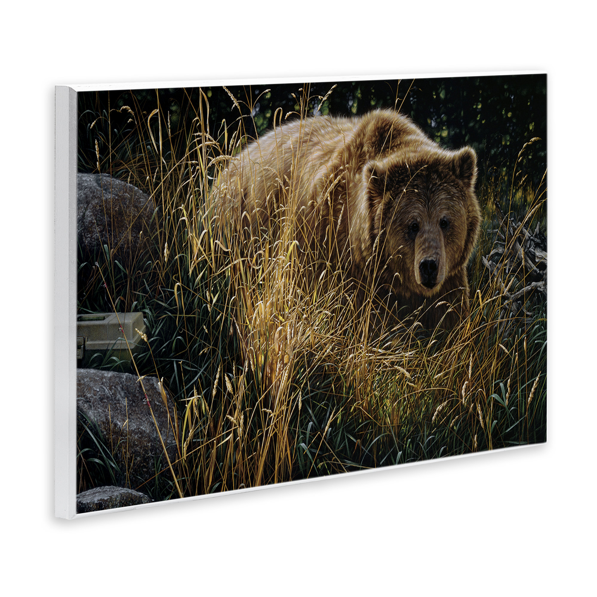 Union Rustic Crossing Paths Grizzly Bear Wall Plaque, design by Collin ...