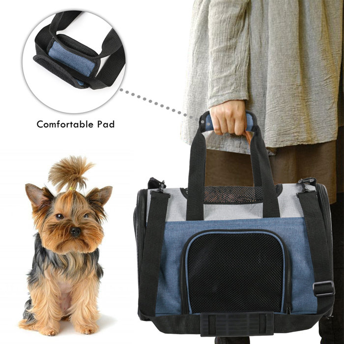 Tucker Murphy Pet™ Chaparro Soft Pet Carrier & Reviews | Wayfair