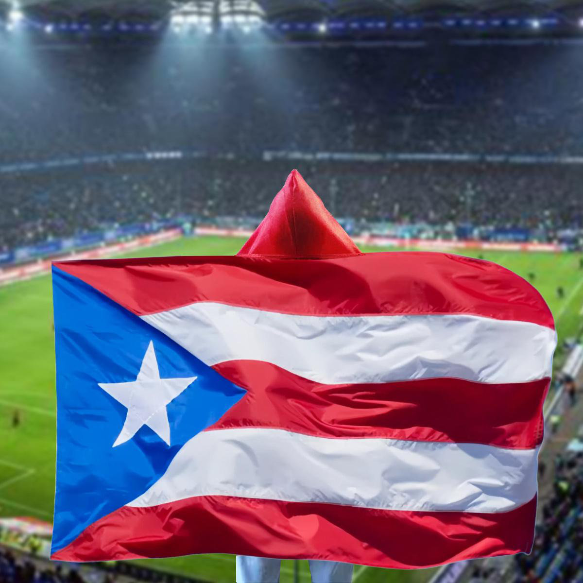 Latitude Run® Puerto Rico Pride Cape Flag - 3x5ft Polyester Cheering ...