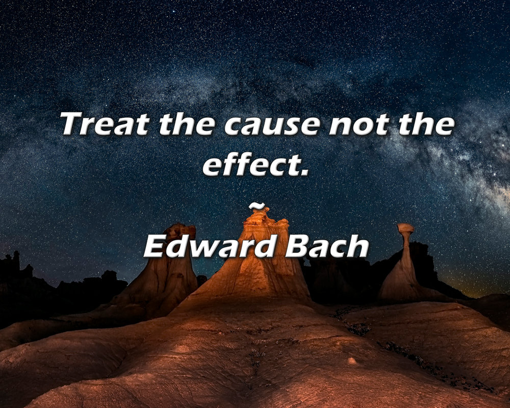 Latitude Run® Edward Bach Quote: Treat the cause not the effect. | Wayfair