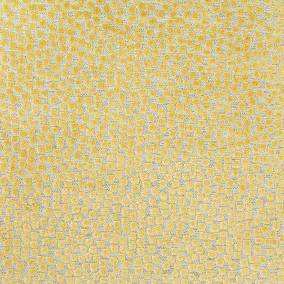 Kravet Thom Filicia Flurries Fabric | Perigold