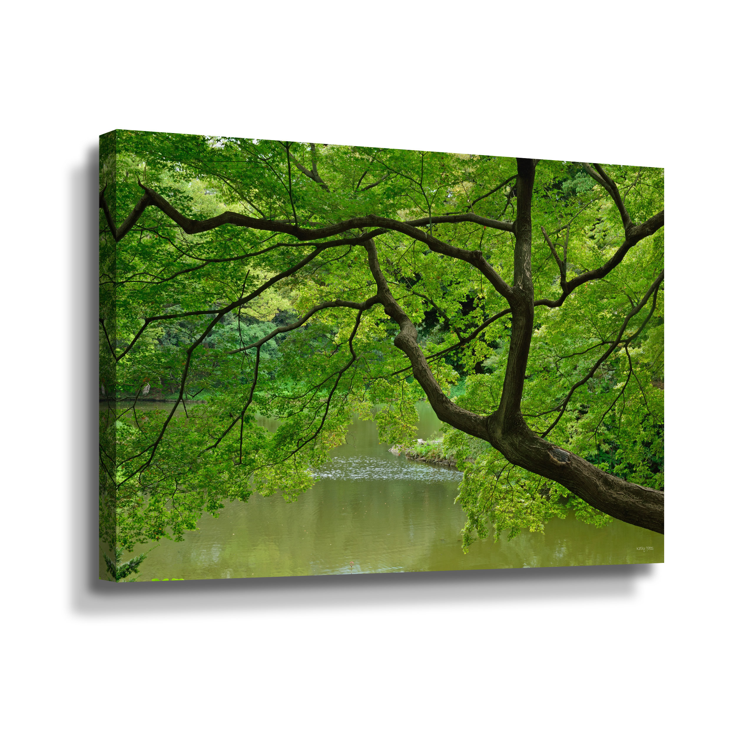 Hokku Designs Aamarion Tree in Tokyo Garden by Kathy Yates - Print on ...