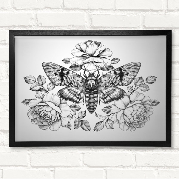 ClassicLiving Death Head Moth - Closed Corner Frame Art Prints on Wood ...